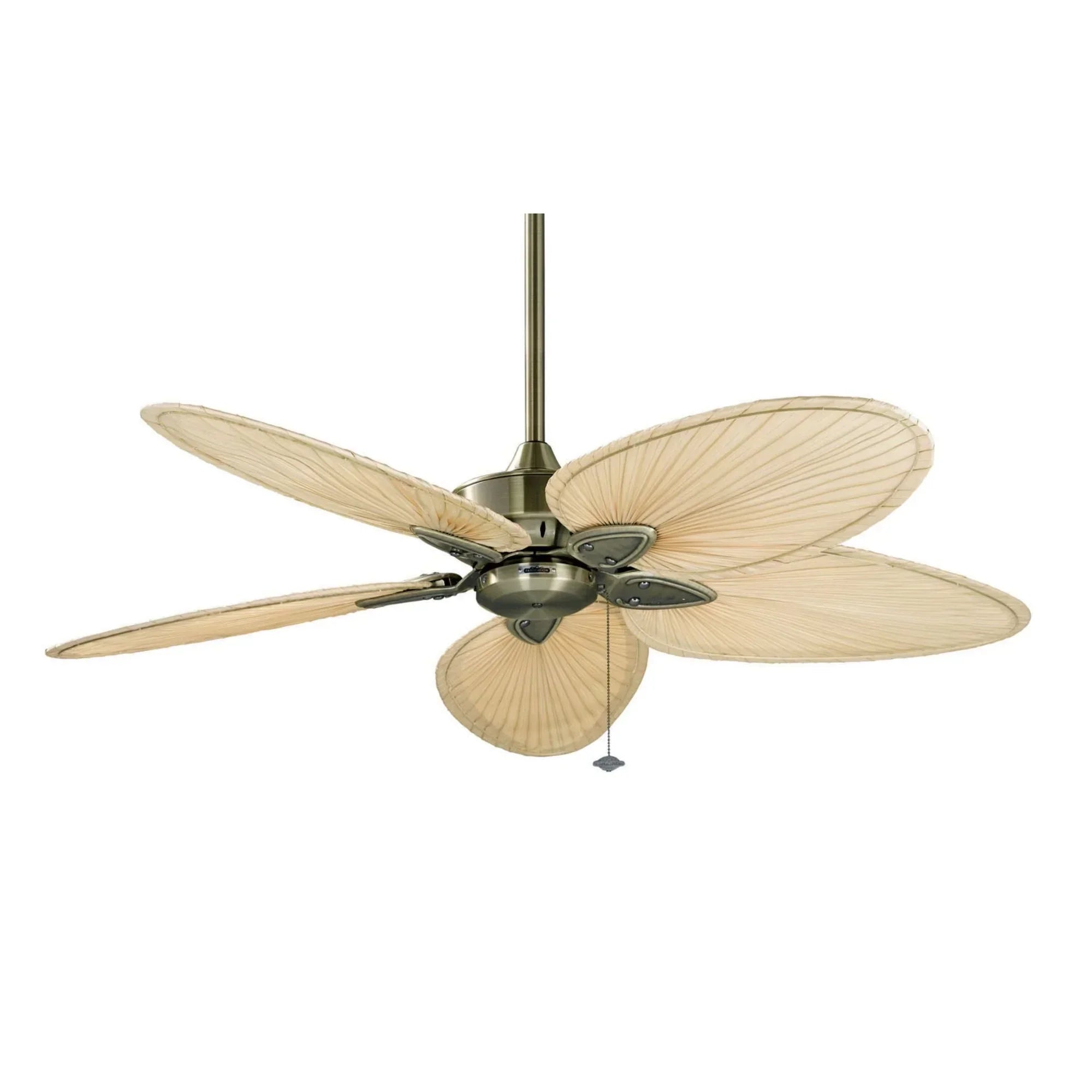 Fanimation Windpointe FP7500AB: 52" Tropcal Ceiling Fan | Bees Lighting