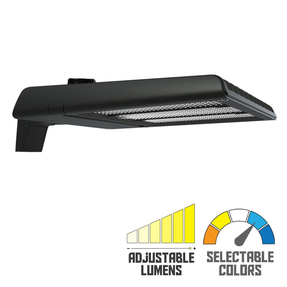 RAB Lighting A22-320 - LED Pole Light, 250/280/320 Watts Field Adjustable, 30K/40K/50K, 120-277V ...