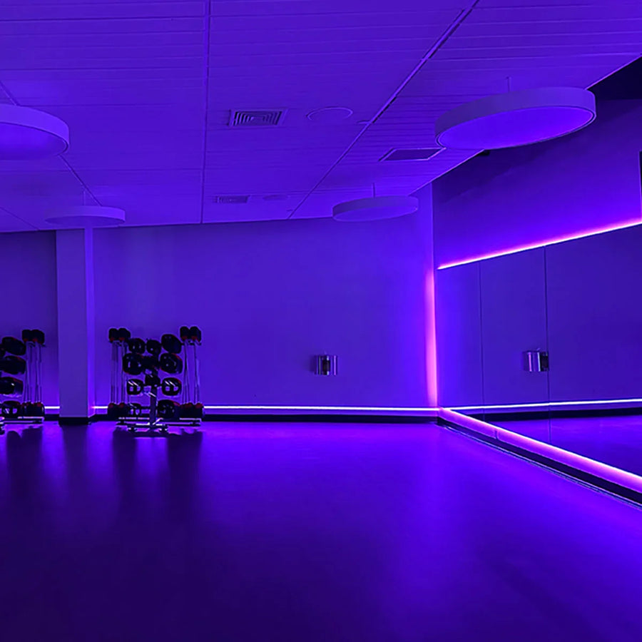 COB LED Strip Lights: Dotless & Seamless Strip Lighting | Bees Lighting