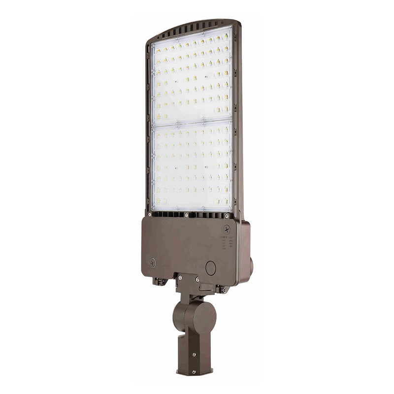 LED Pole Lights | Bees Lighting