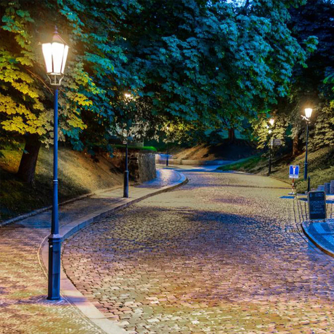 LEDVANCE Sylvania Dual Selectable LED Bullet Flood Light | Bronze ...