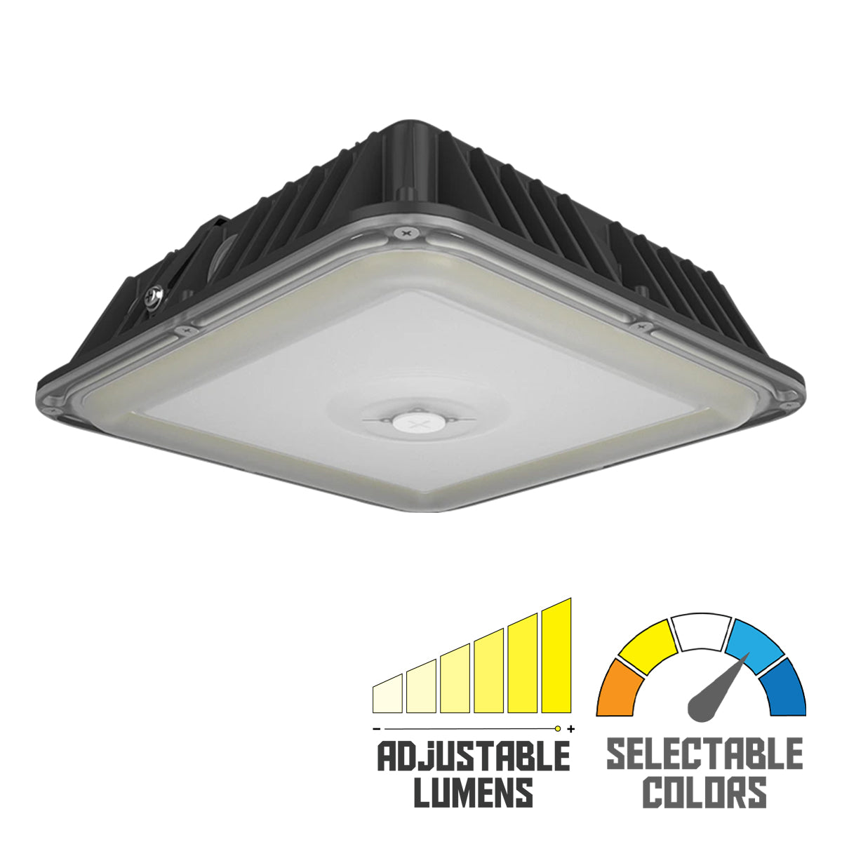 RAB VAN17-60 LED Canopy Light | 9000 Lumens | Bees Lighting