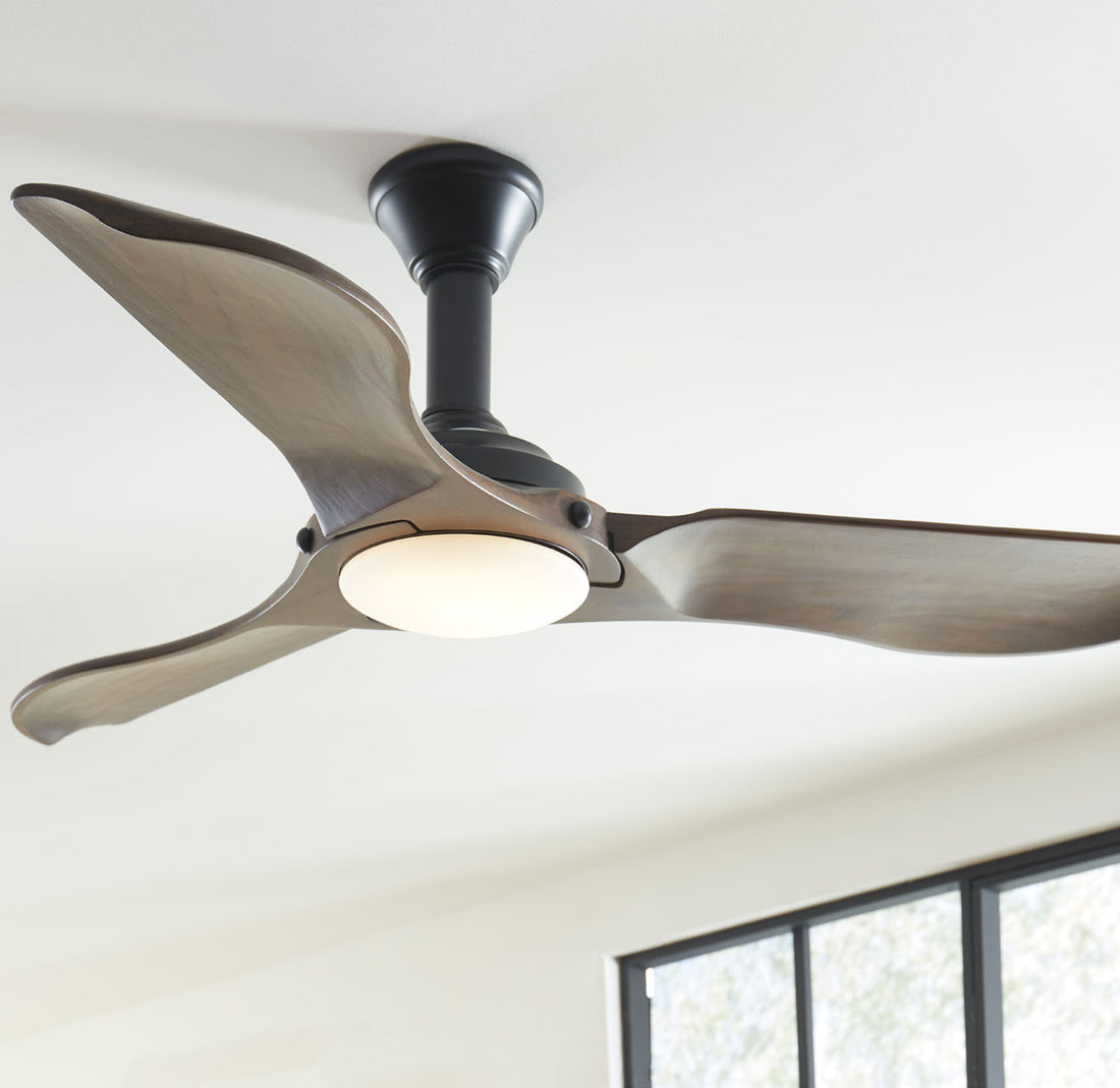 Visual Comfort 3AVLCR54RZWD Avila Coastal Ceiling Fan | Bees Lighting