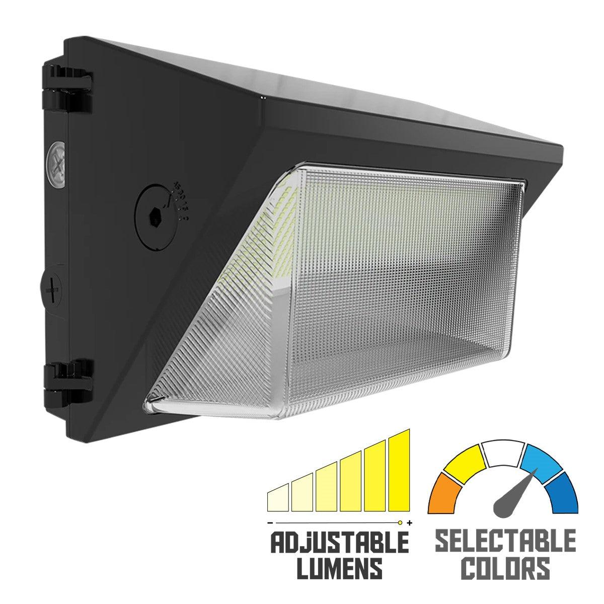 RAB W22-M-100 LED Wall Pack Light | Adjustable Throw | Bees Lighting