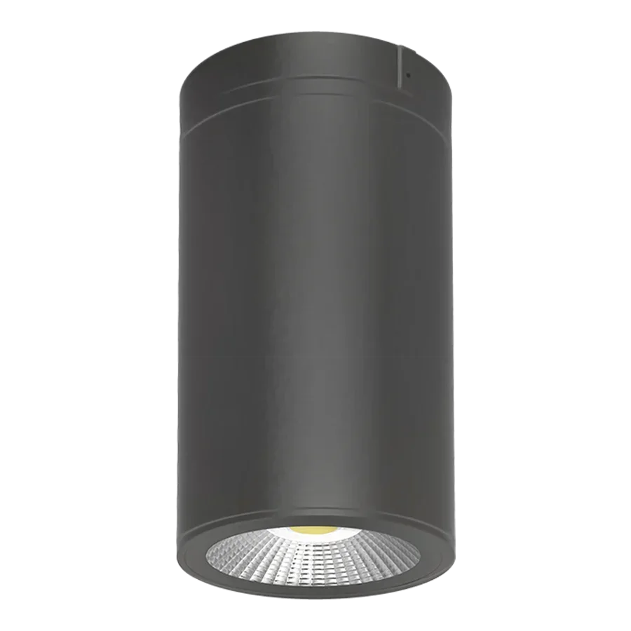 RAB CD34-4SPZ 4" LED Cylinder Ceiling Downlight | Bees Lighting