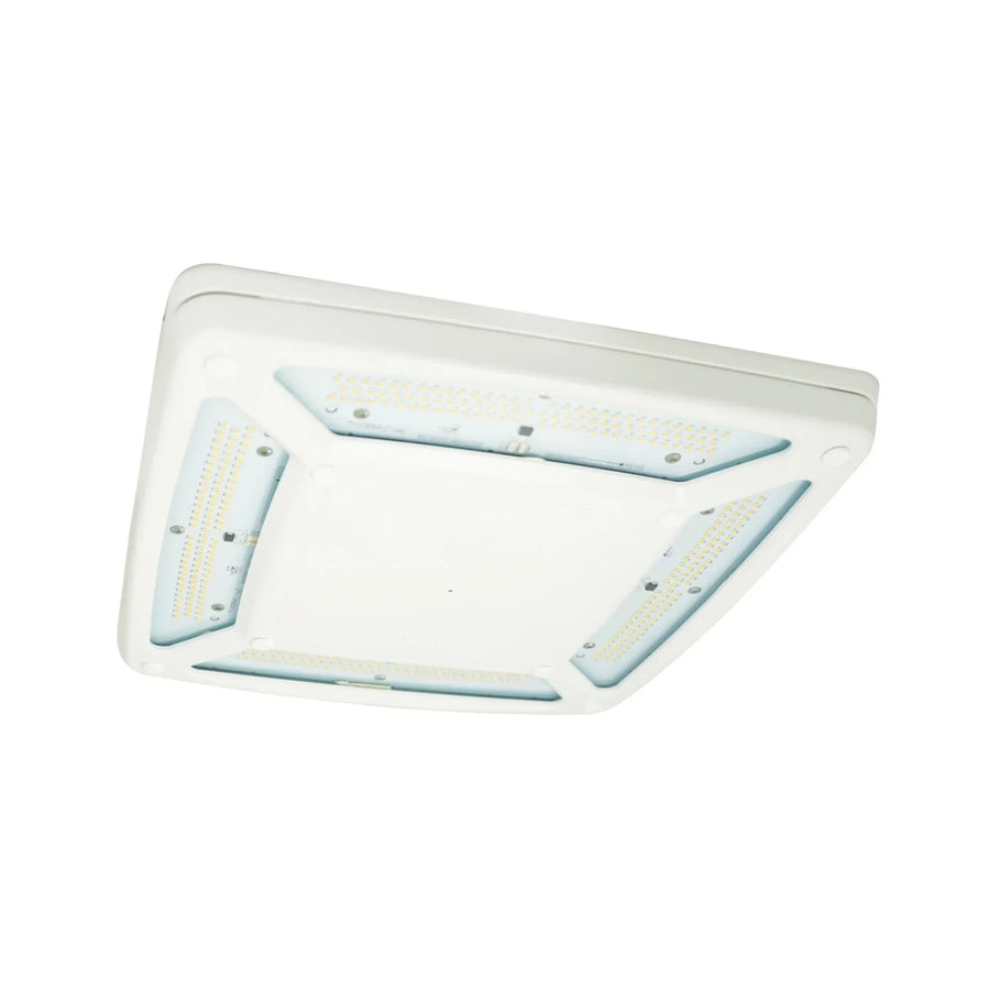 LSI Industries Lighting | Commercial & Industrial Fixtures | Bees Lighting