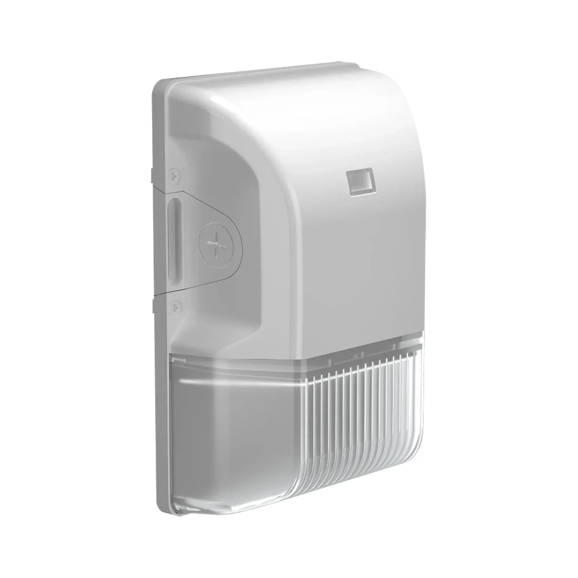 RAB BRISK17FA30W LED Wall Pack | Bees Lighting